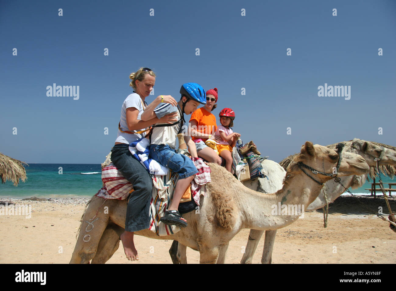 Camel Horse Riding High Resolution Stock Photography and Images - Alamy