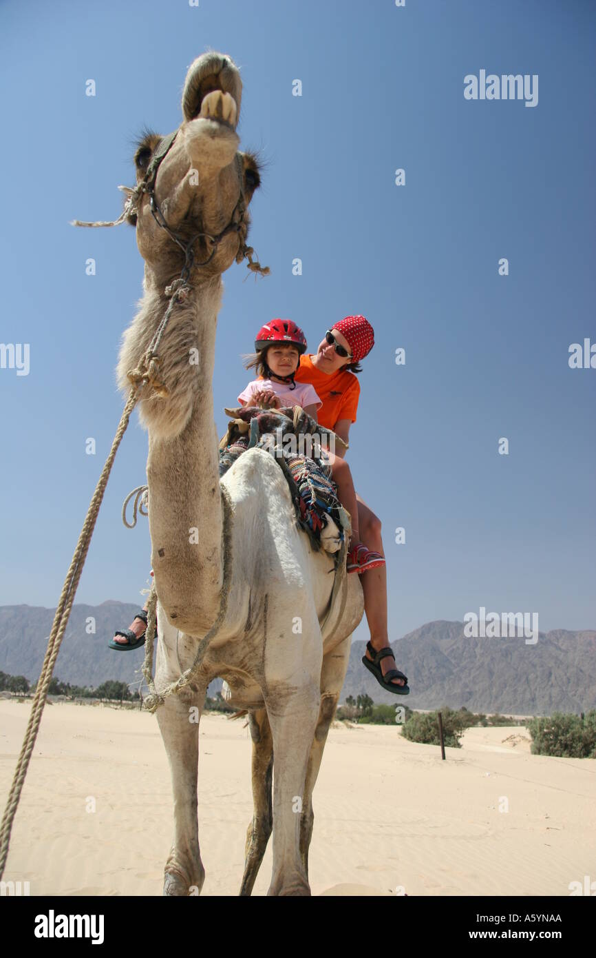 hippo therapy with camel / camel riding Stock Photo - Alamy
