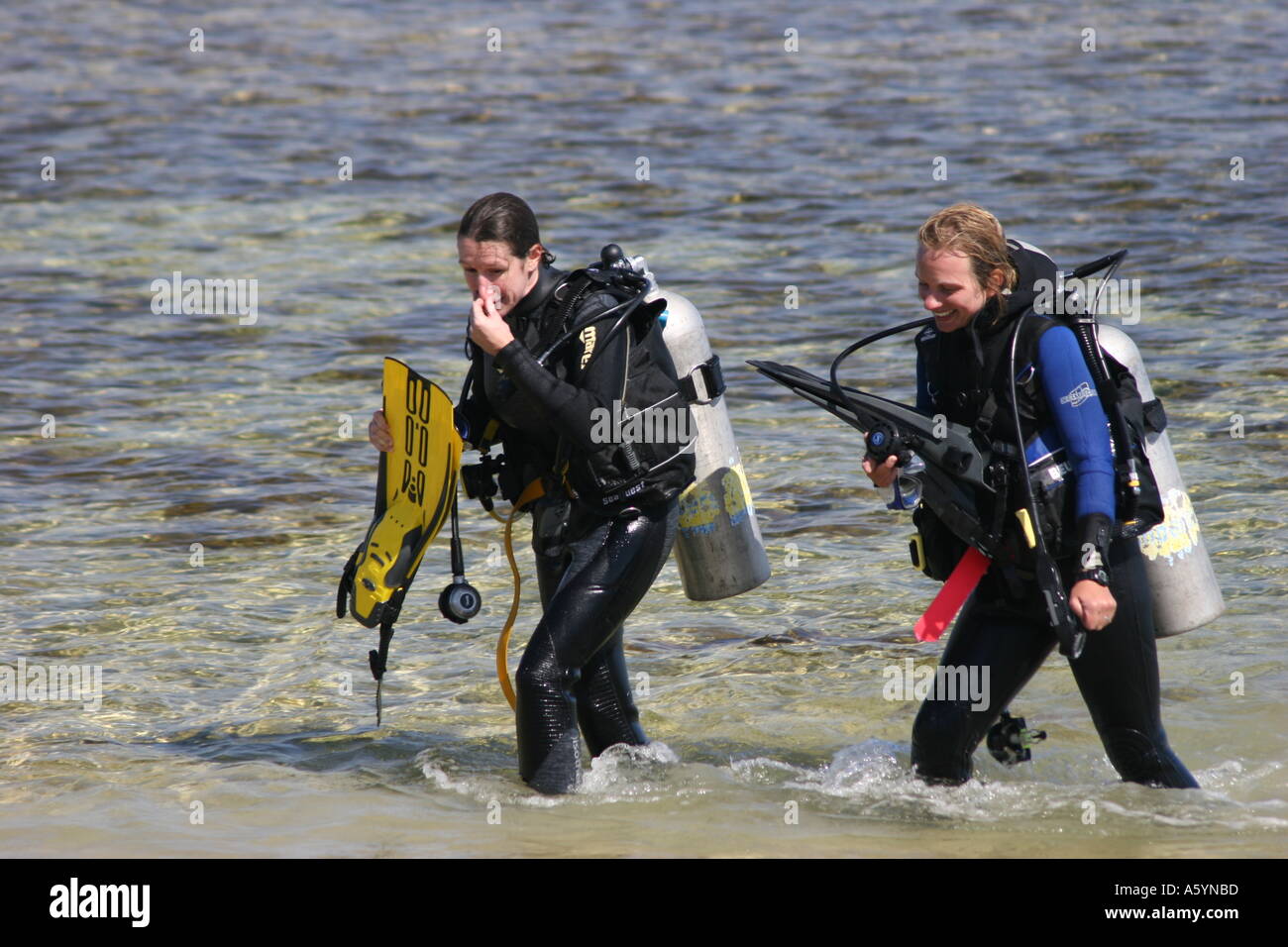 two female divers Stock Photo - Alamy