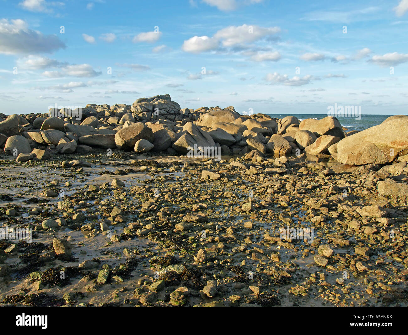 landscape at the coast near Plouescat in Finistere Brittany France ...