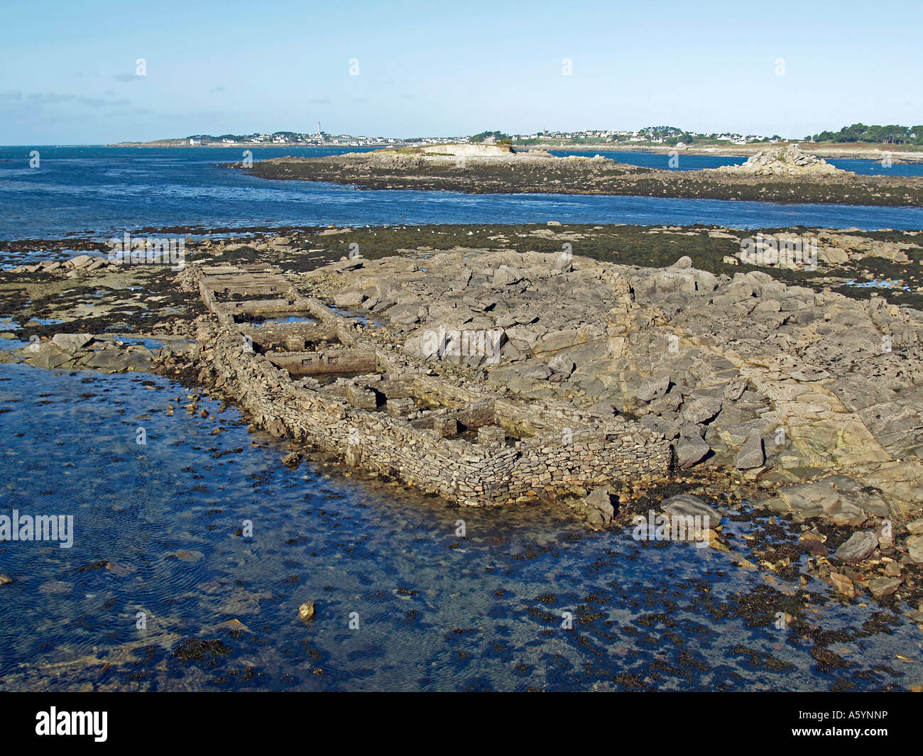 old basins for oysters beneath the gangplank for the boat from Roscoff ...