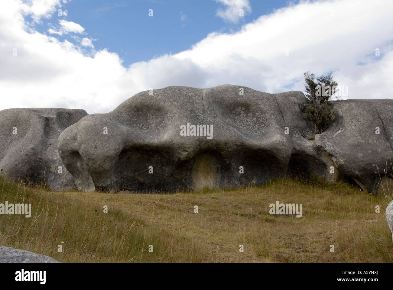 Unusual limestone rock formations at New Zealand's "Castle Hill" Rocks ...