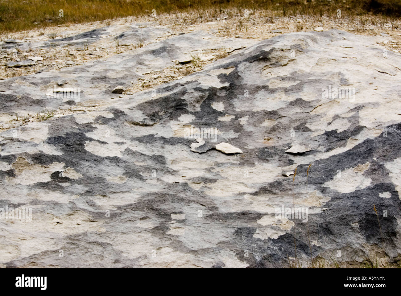 Exfoliation erosion of limestone at New Zealand's Castle Hill Rocks ...