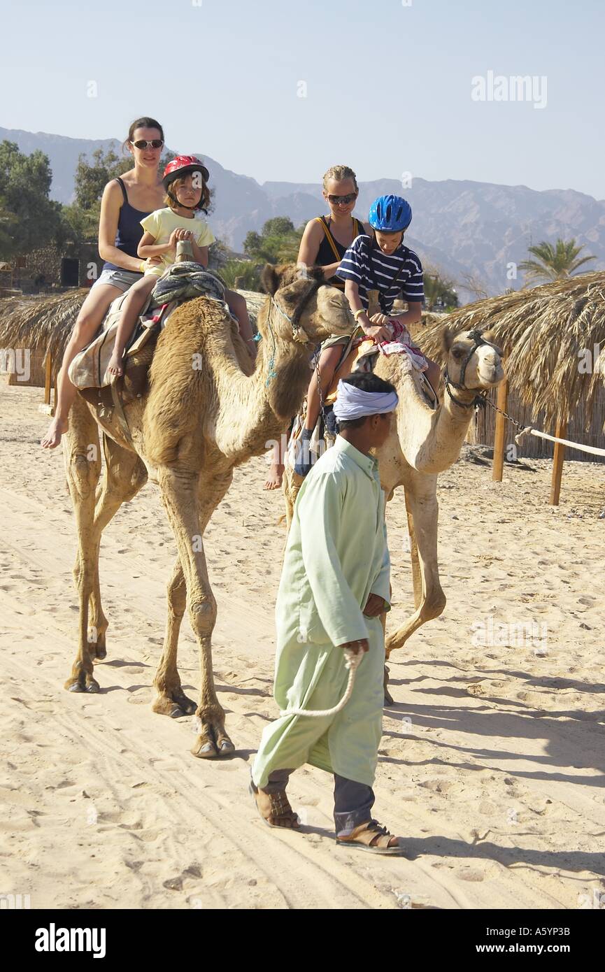 hippo therapy with camel / camel riding Stock Photo - Alamy
