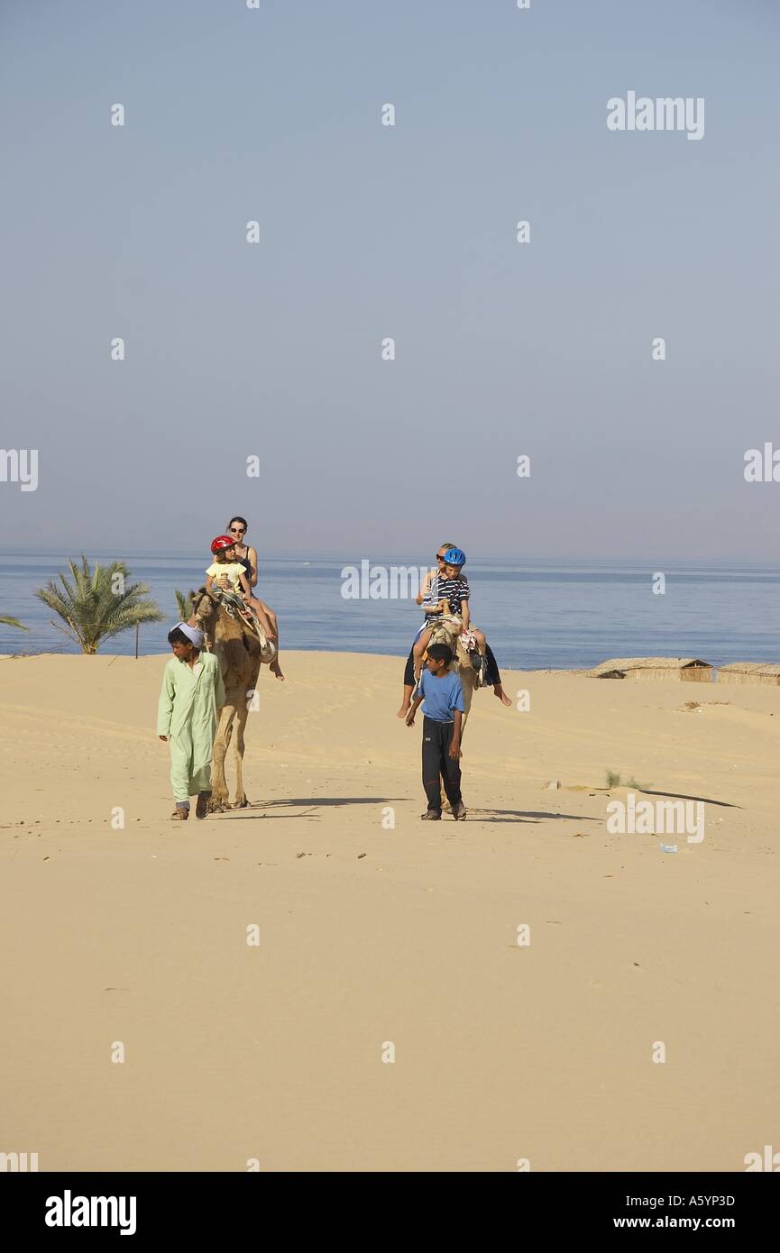 hippo therapy with camel / camel riding Stock Photo - Alamy