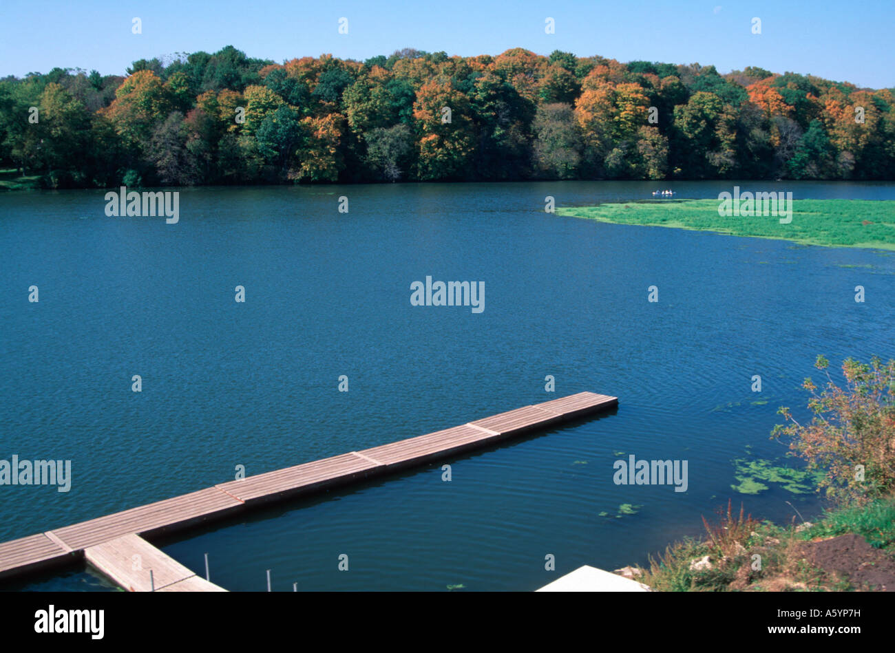 Backbone state park hi-res stock photography and images - Alamy
