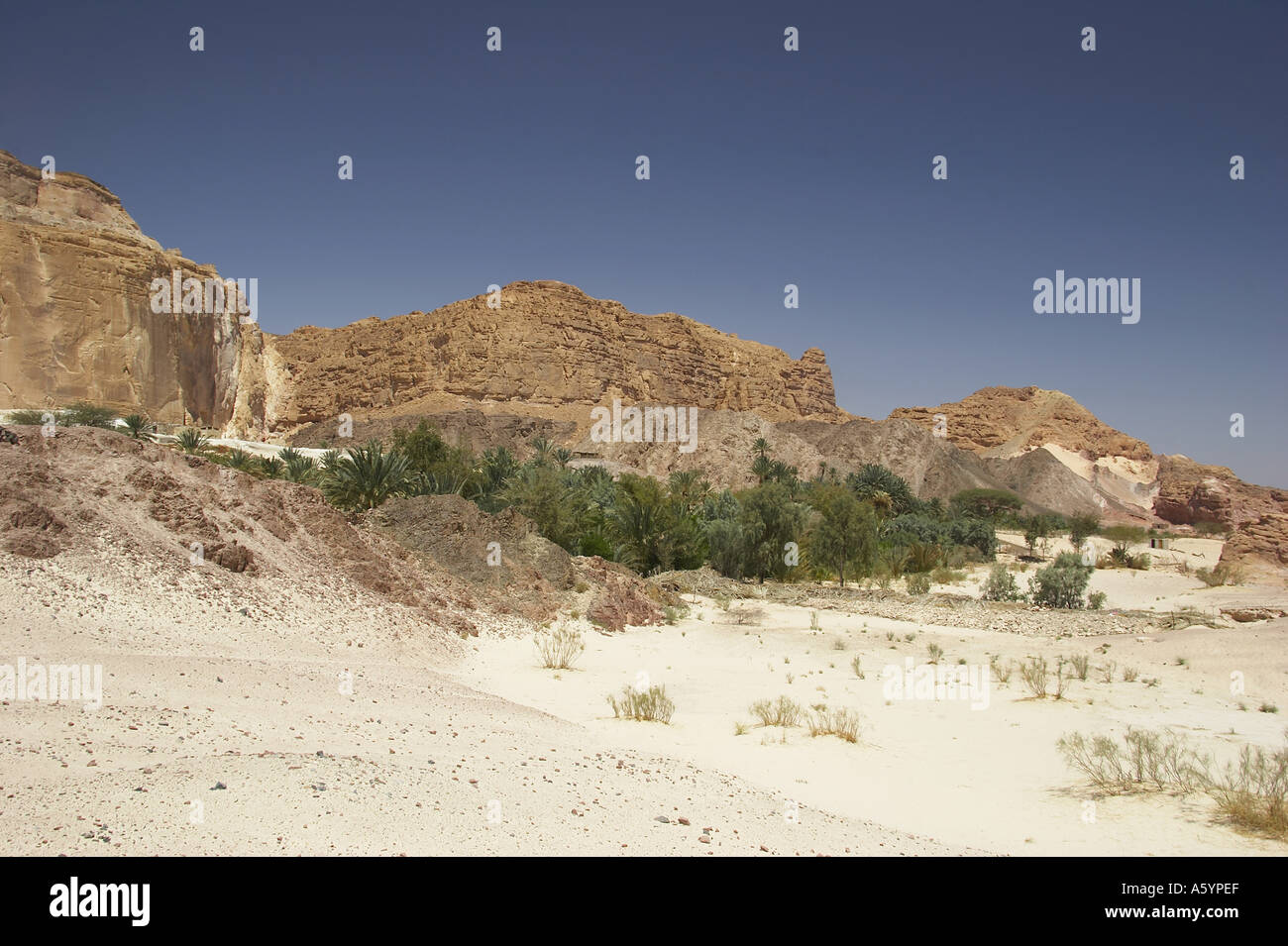 Ain khudra hi-res stock photography and images - Alamy