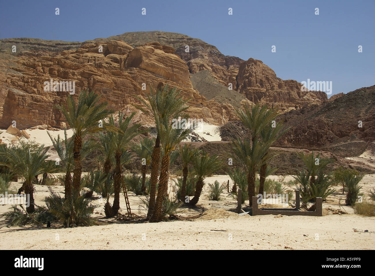 oasis Ain Khudra Stock Photo - Alamy