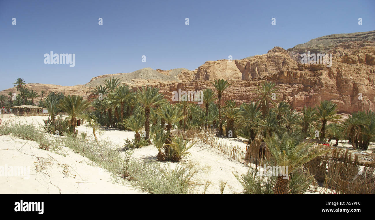 oasis Ain Khudra Stock Photo - Alamy
