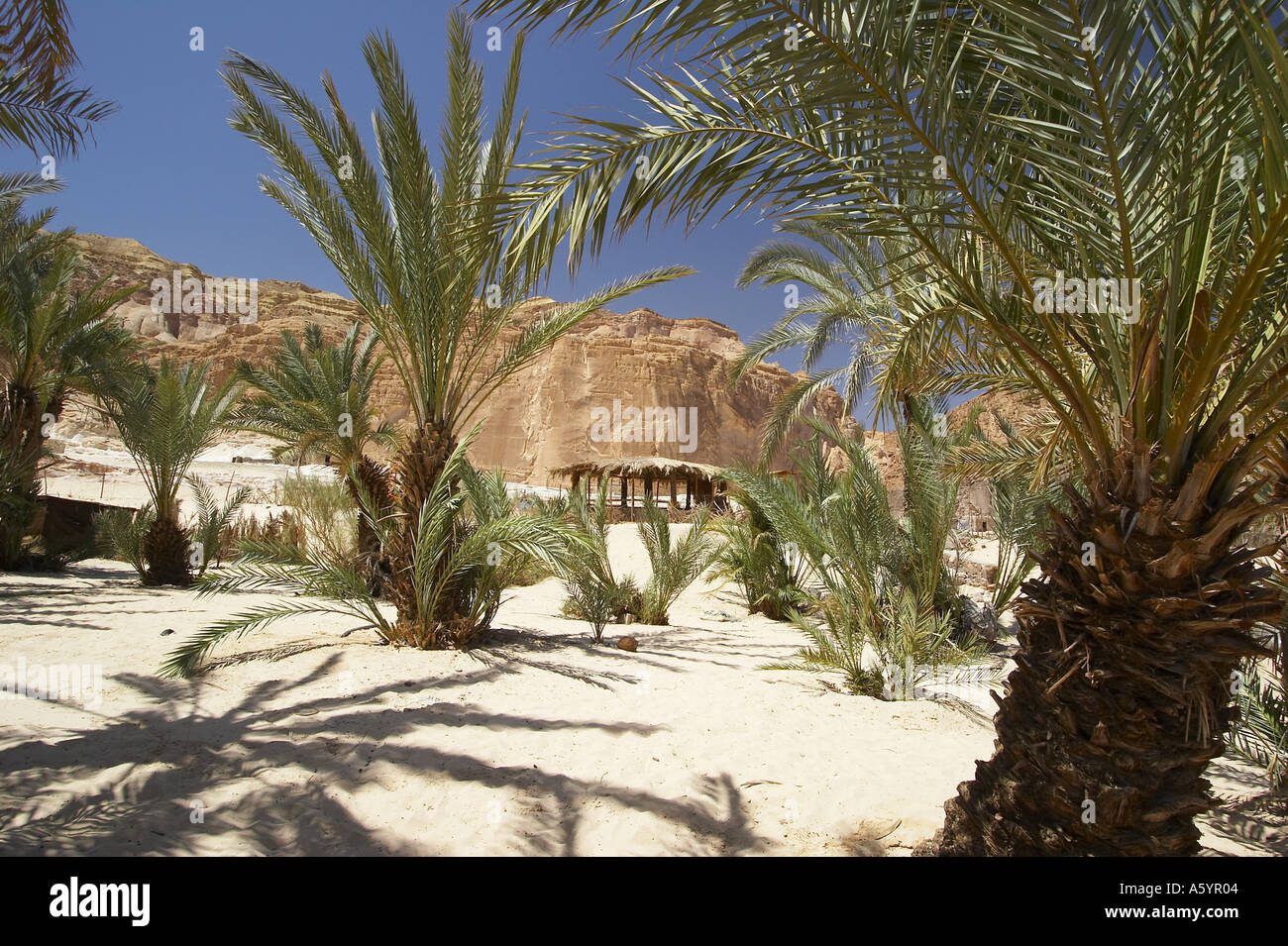 oasis Ain Khudra Stock Photo - Alamy