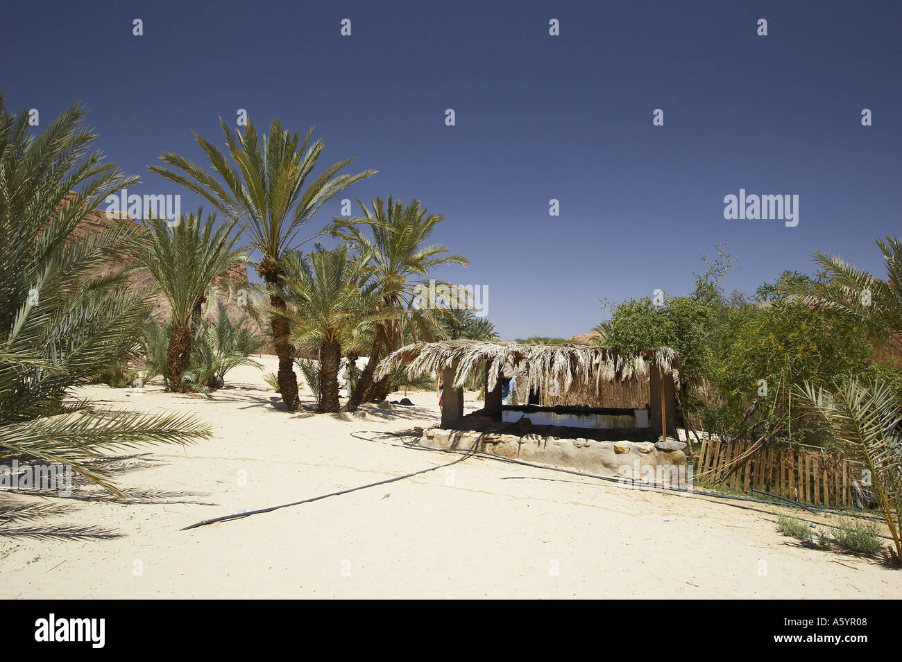 oasis Ain Khudra Stock Photo - Alamy