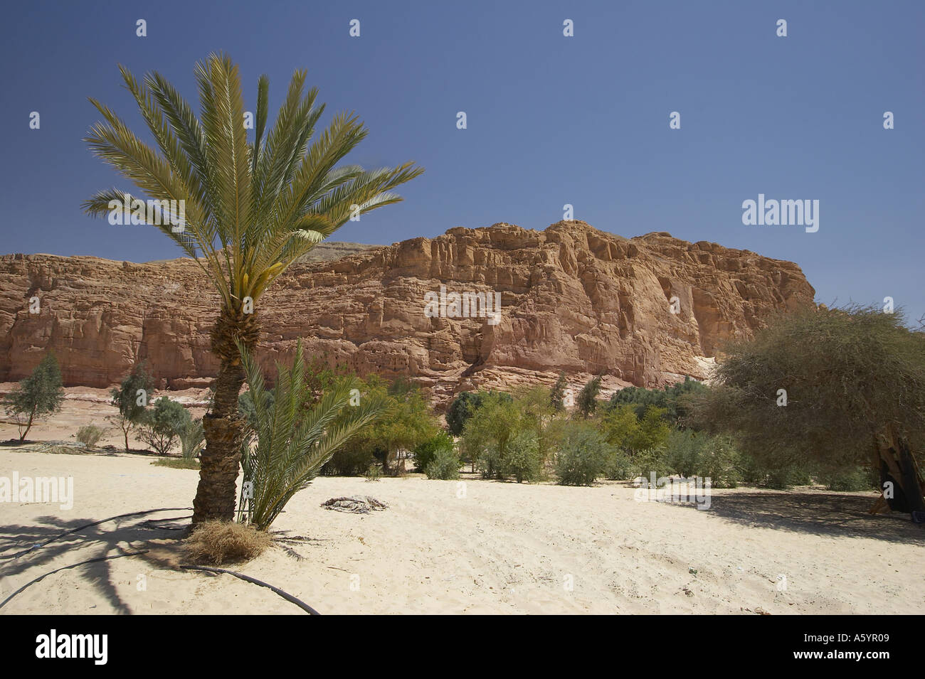 oasis Ain Khudra Stock Photo - Alamy