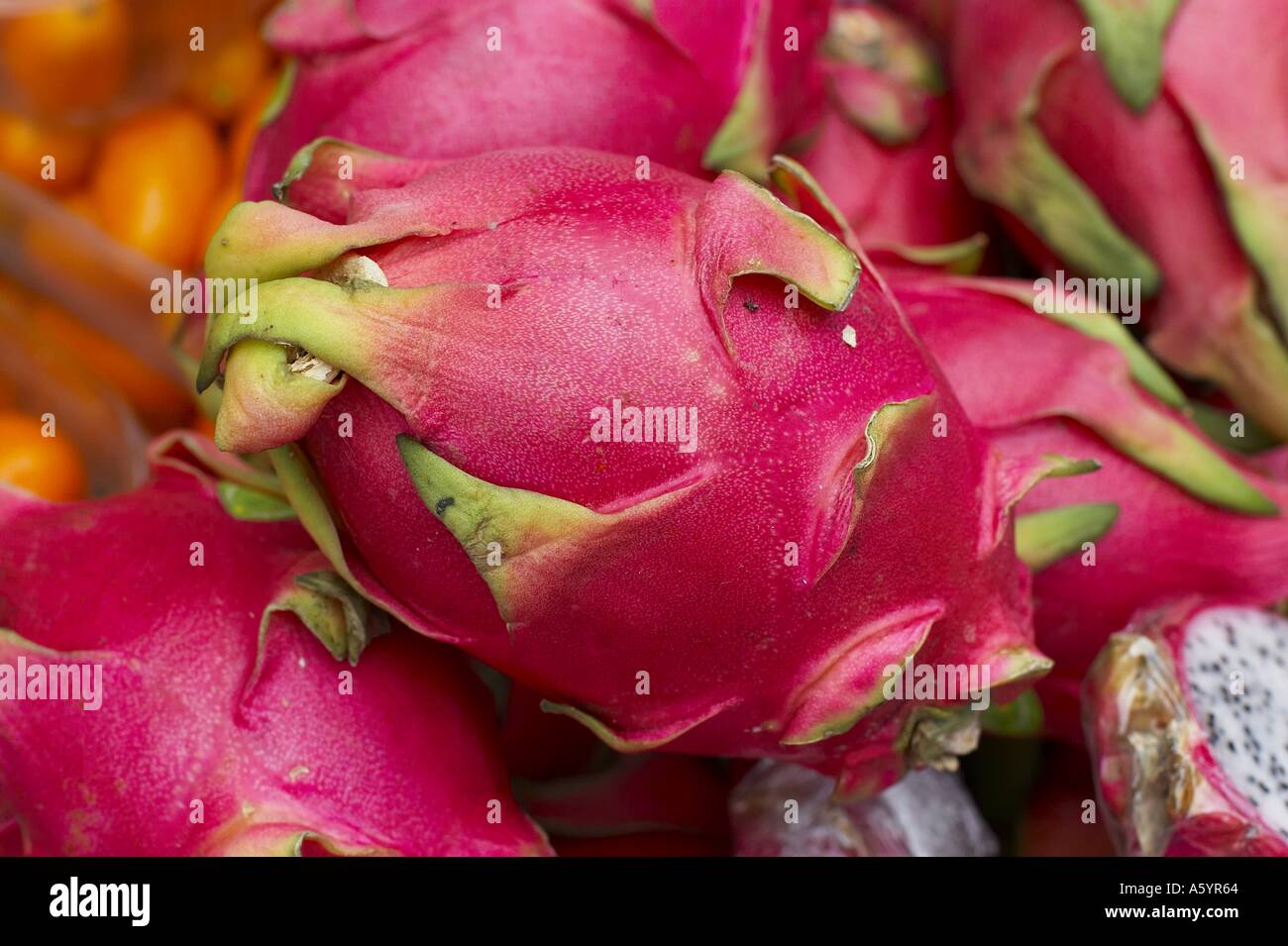 Red pitahayas hi-res stock photography and images - Alamy