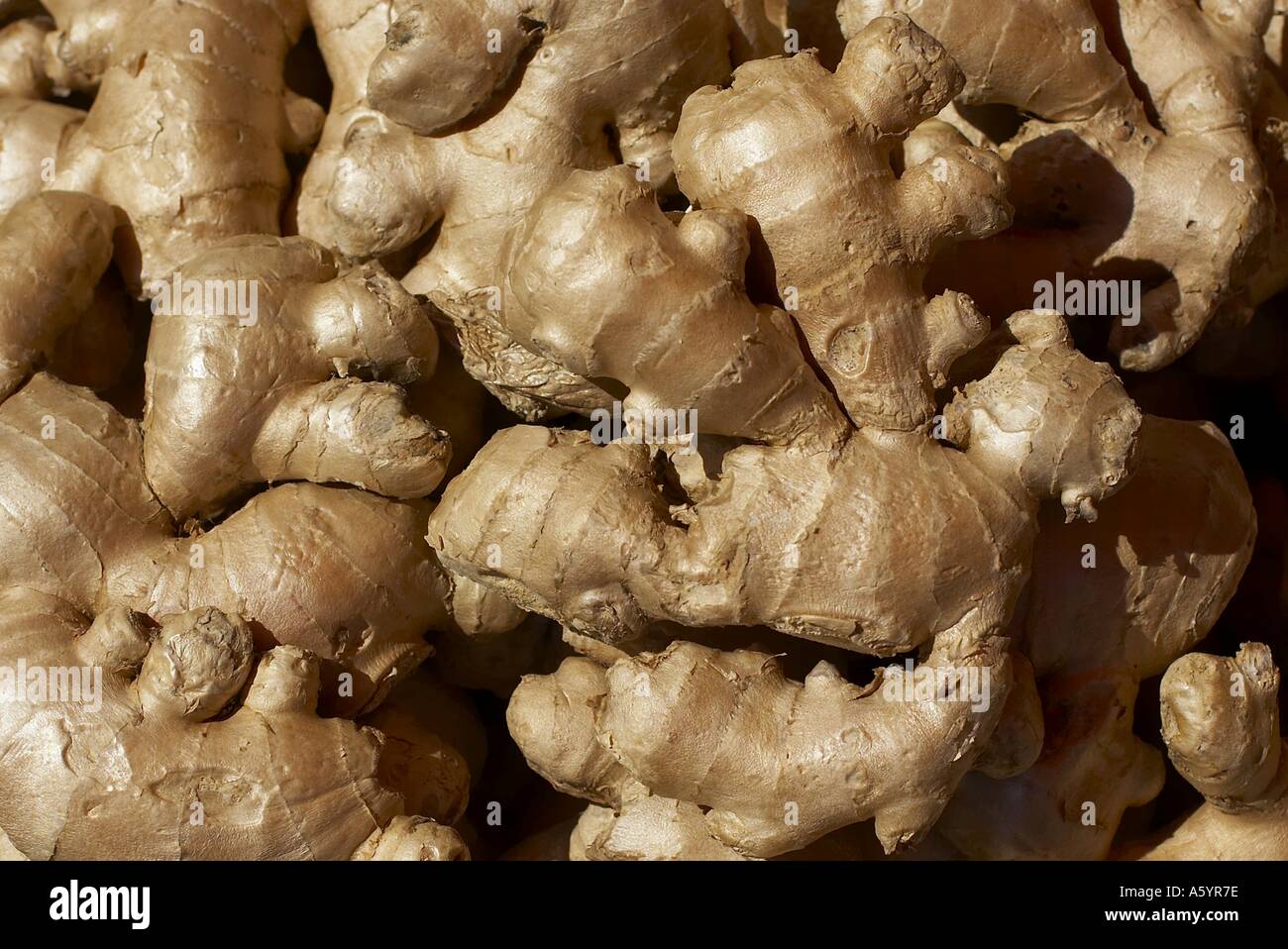 Food parts of plants hi-res stock photography and images - Alamy
