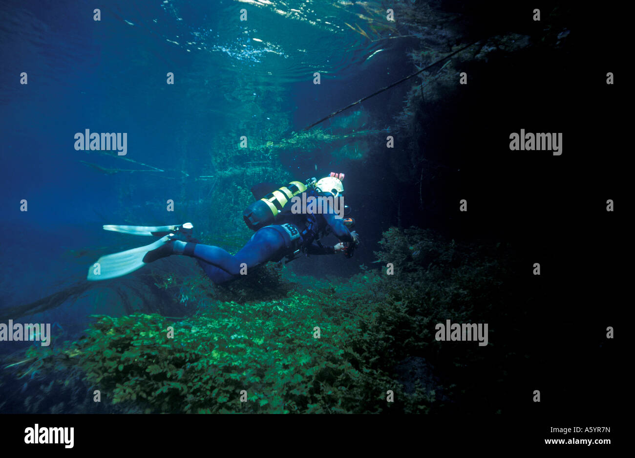 Cave diver entering a freshwater cave in Gokova Turkey Stock Photo - Alamy