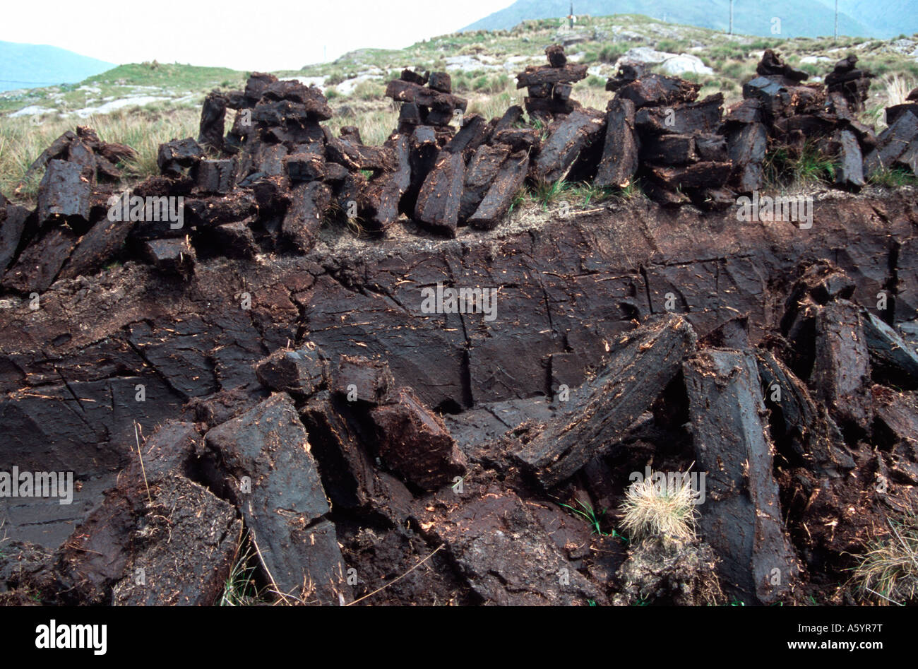Peat production ireland hi-res stock photography and images - Alamy
