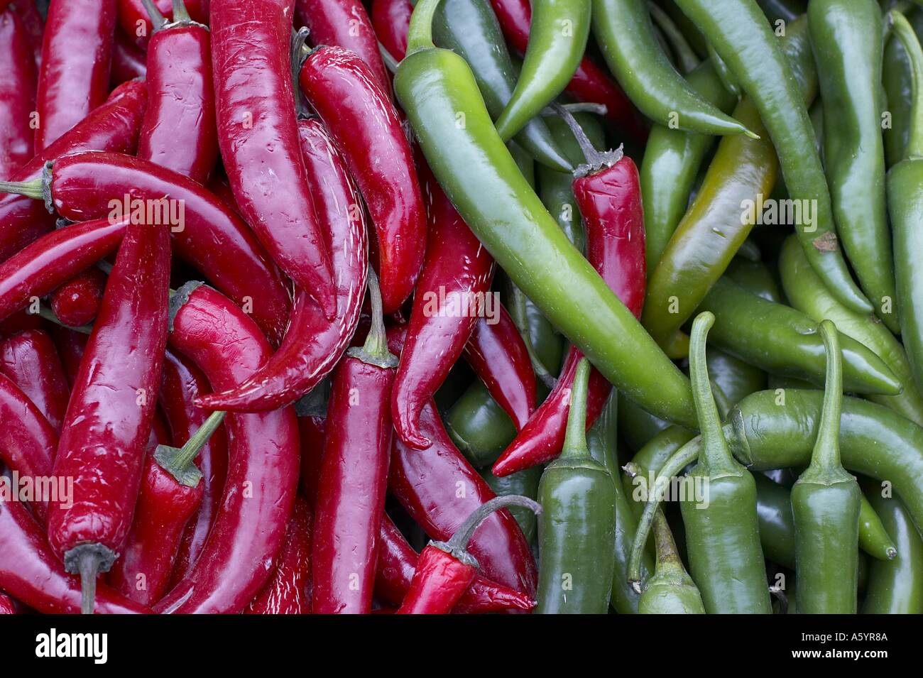 red and green chilli / hot Stock Photo - Alamy