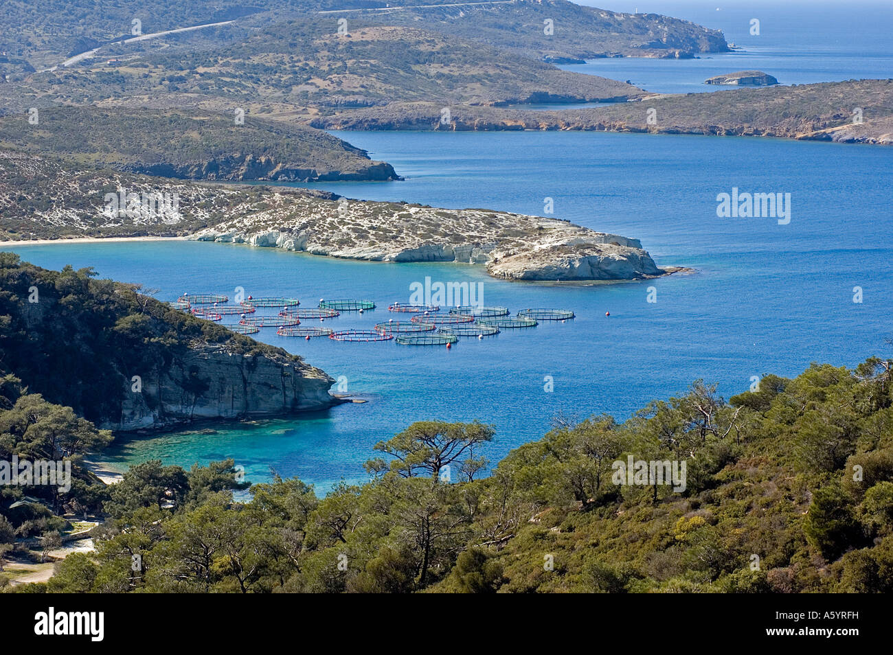 Fish farm in a protected cove in Foca Turkey Stock Photo - Alamy