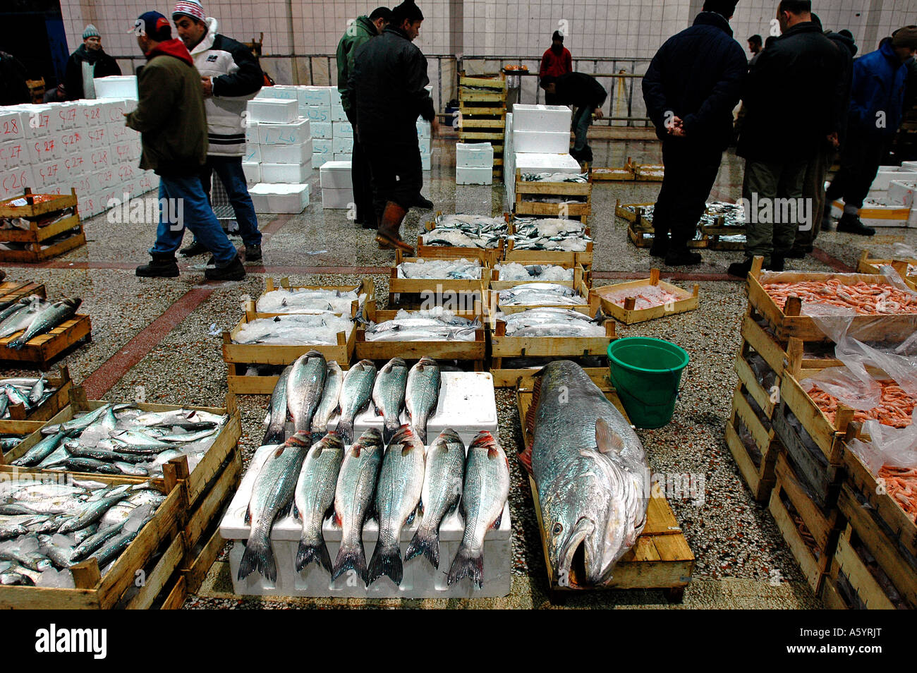 Biggest Fish Market In Istanbul at Janis Clayson blog