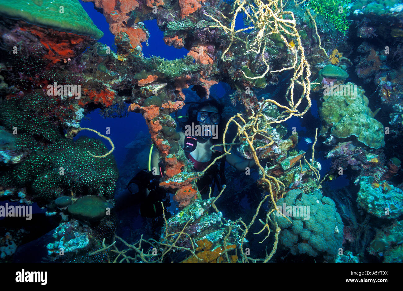 Wreck diving in Coron Philippines Stock Photo - Alamy