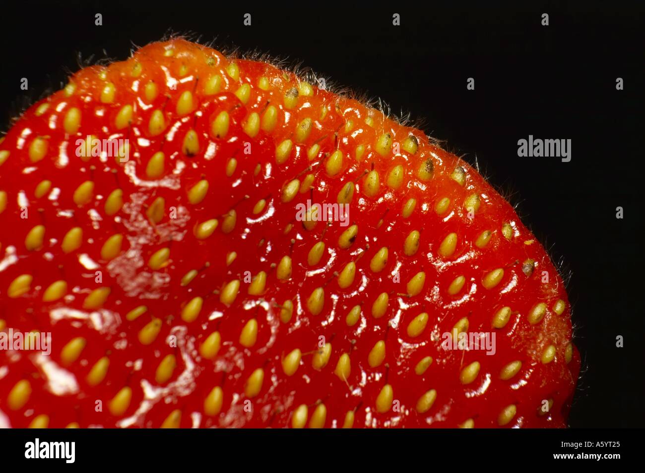 details of strawberry Stock Photo - Alamy