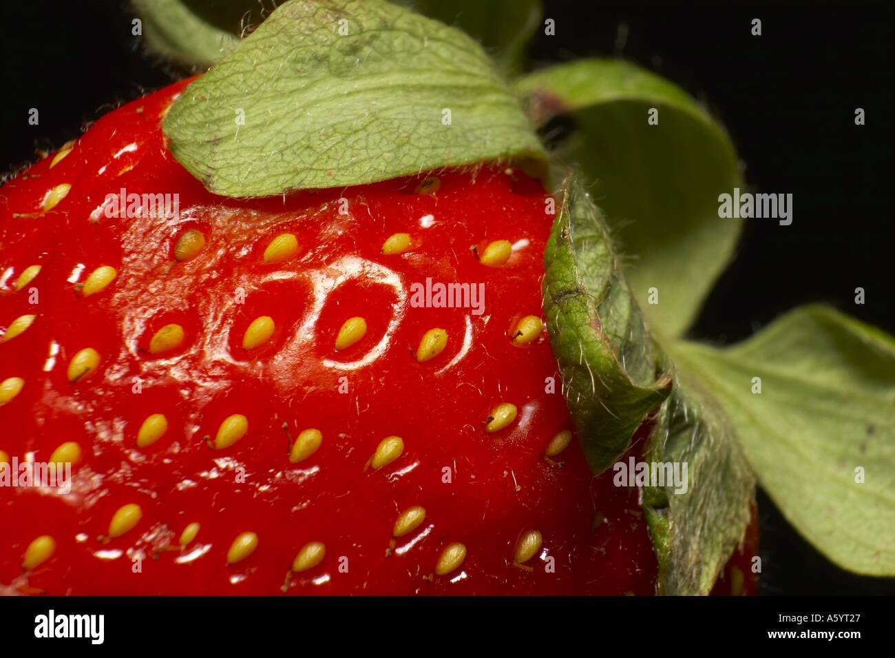 details of strawberry Stock Photo - Alamy