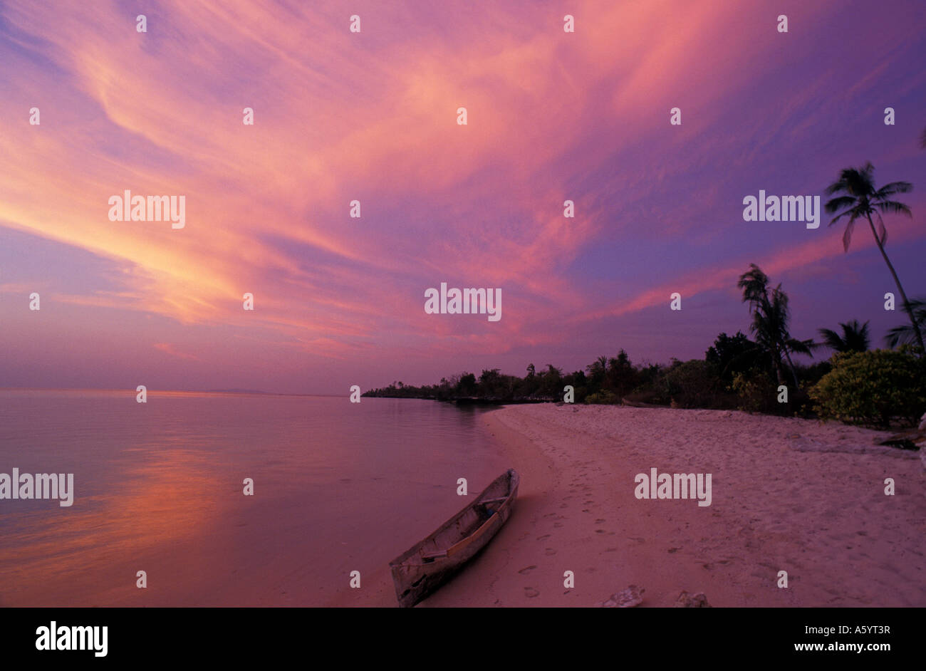 Tukang besi islands sulawesi hi-res stock photography and images - Alamy