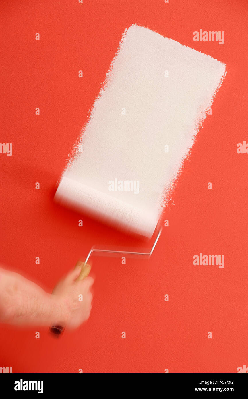 ROLLER APPLYING WHITE PAINT ON RED WALL Stock Photo - Alamy