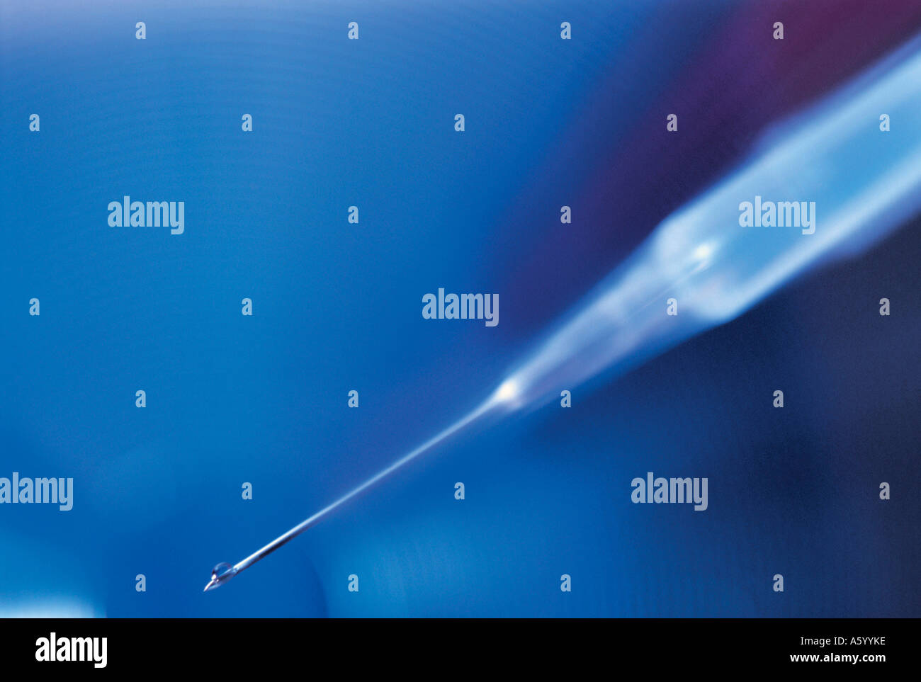 Close-up of needle of syringe Close-up of needle of syringe Stock Photo ...