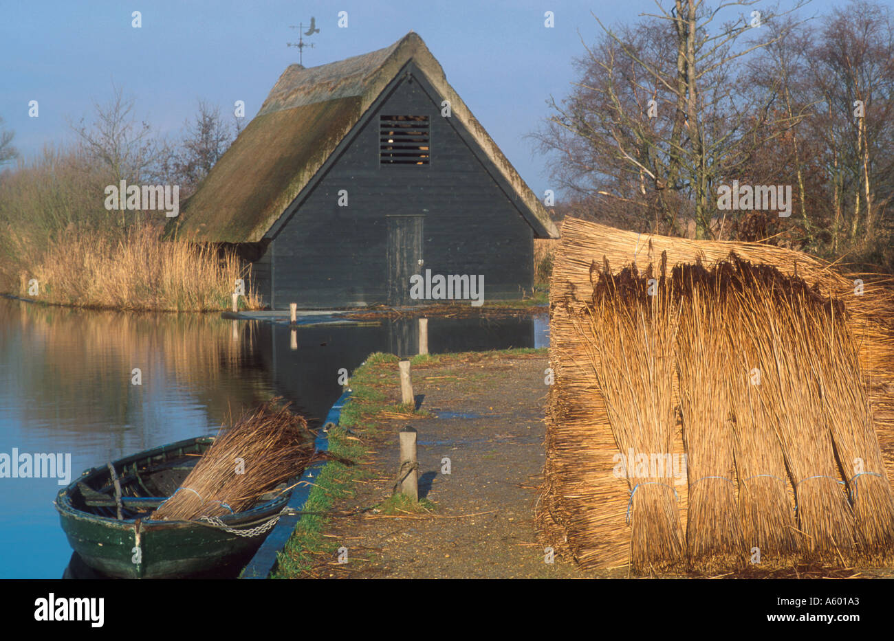 STACKED REEDS ON THE BANK OF THE RIVER ANT AT HOW HILL NORFOLK EAST ...