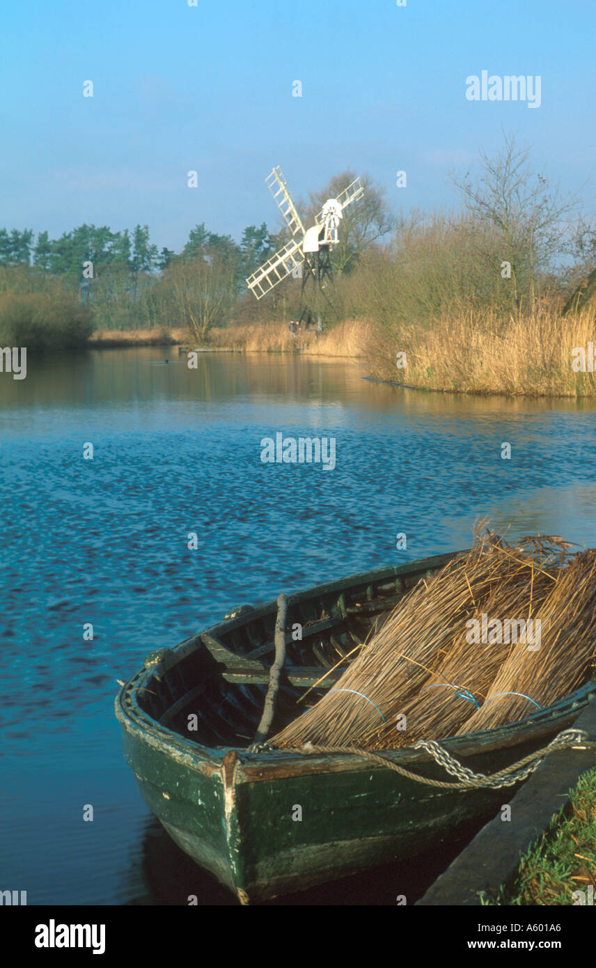 Reeds river boat hi-res stock photography and images - Alamy