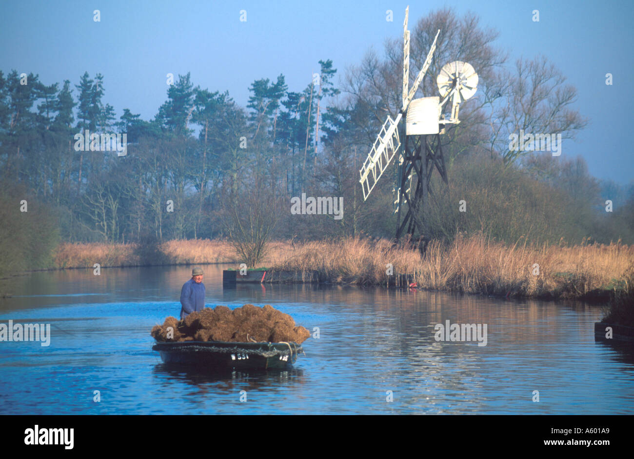 Reed bundles hi-res stock photography and images - Alamy