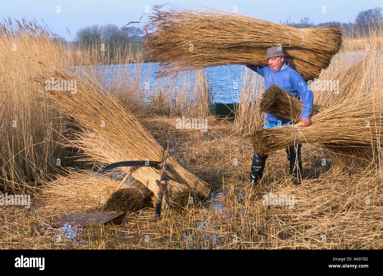 Boat and reeds hi-res stock photography and images - Alamy