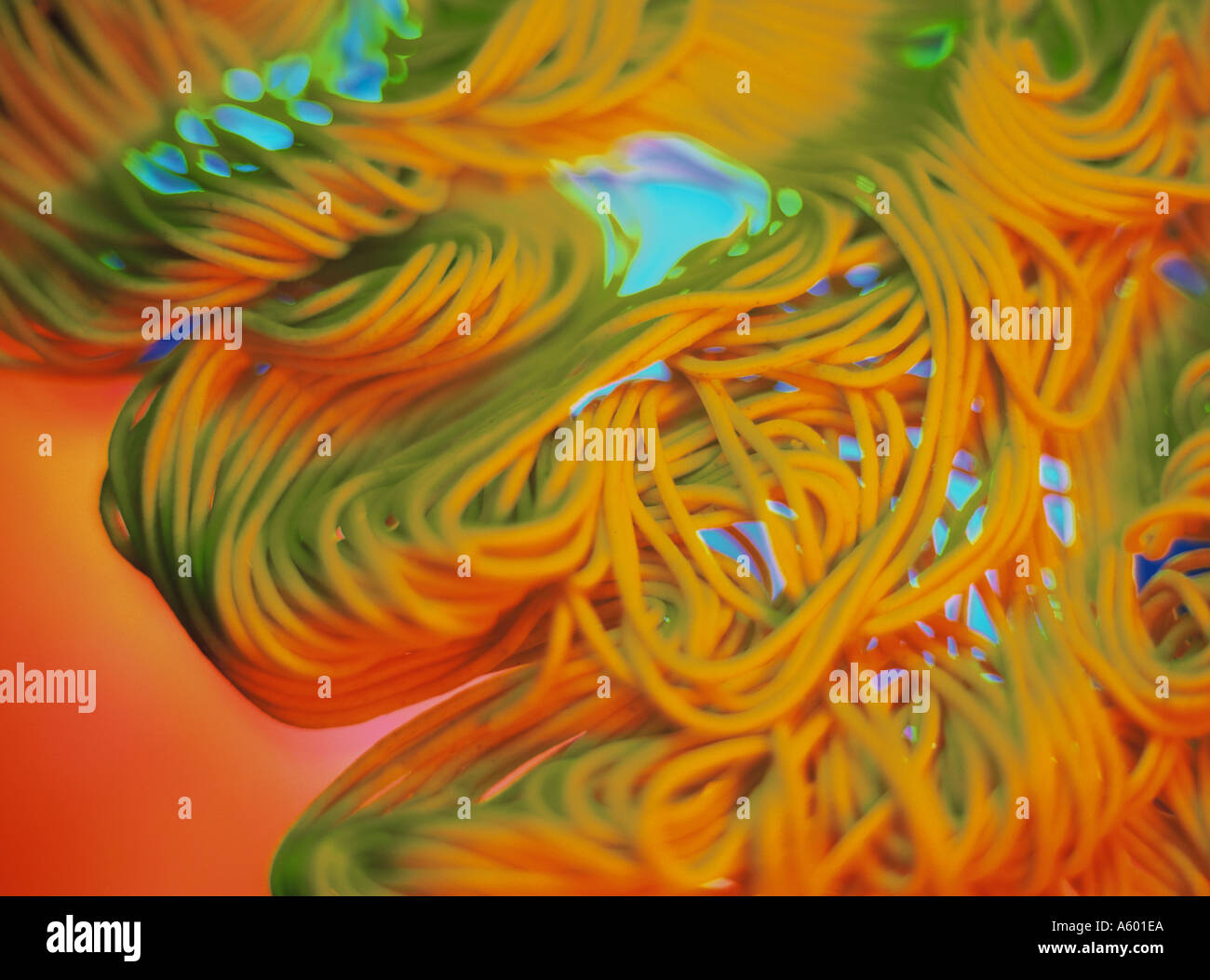 Noodles in coloured light Stock Photo - Alamy