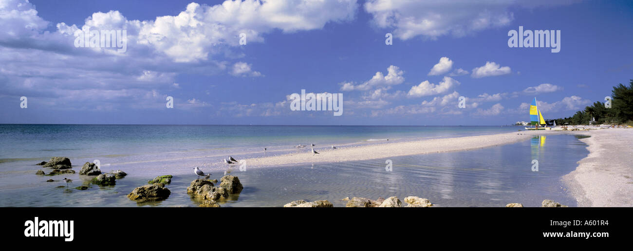 Rocks on beach, Gulf Of Mexico, Fort Myers, Florida, Usa Stock Photo ...