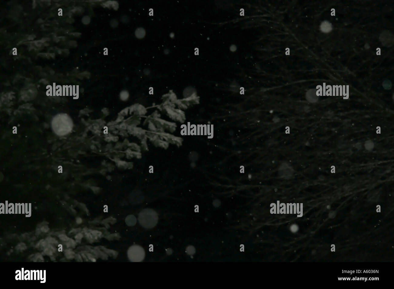 Snowfall at night Stock Photo - Alamy
