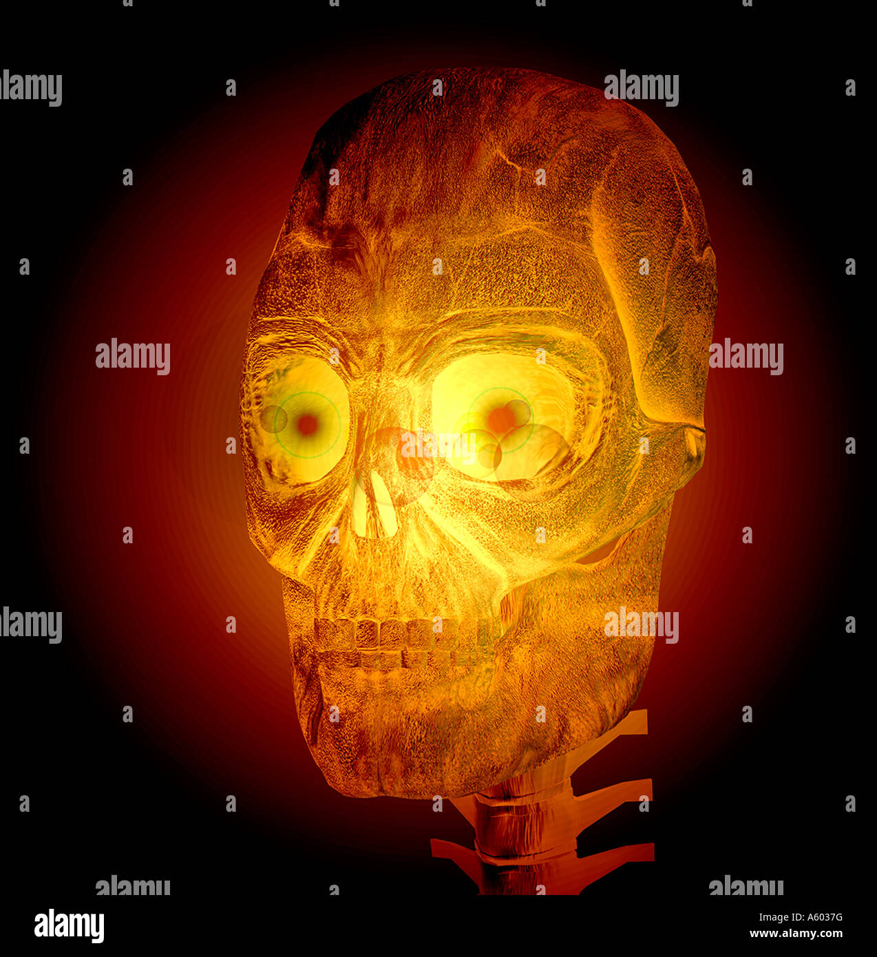 computer generated human skull Stock Photo - Alamy