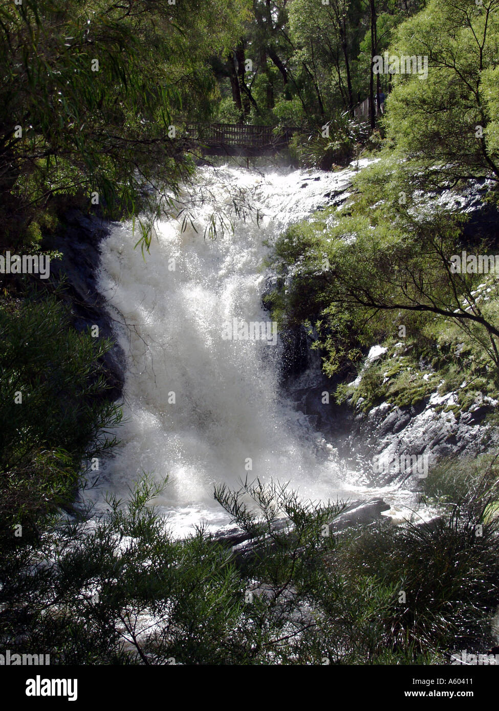 See beedelup hi-res stock photography and images - Alamy