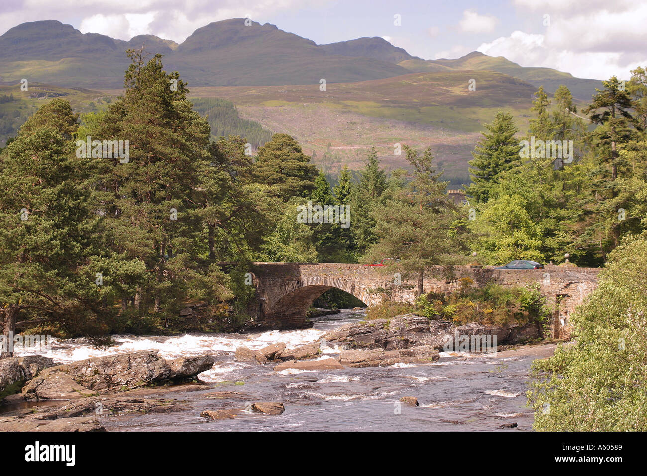 Kinnell hi-res stock photography and images - Alamy