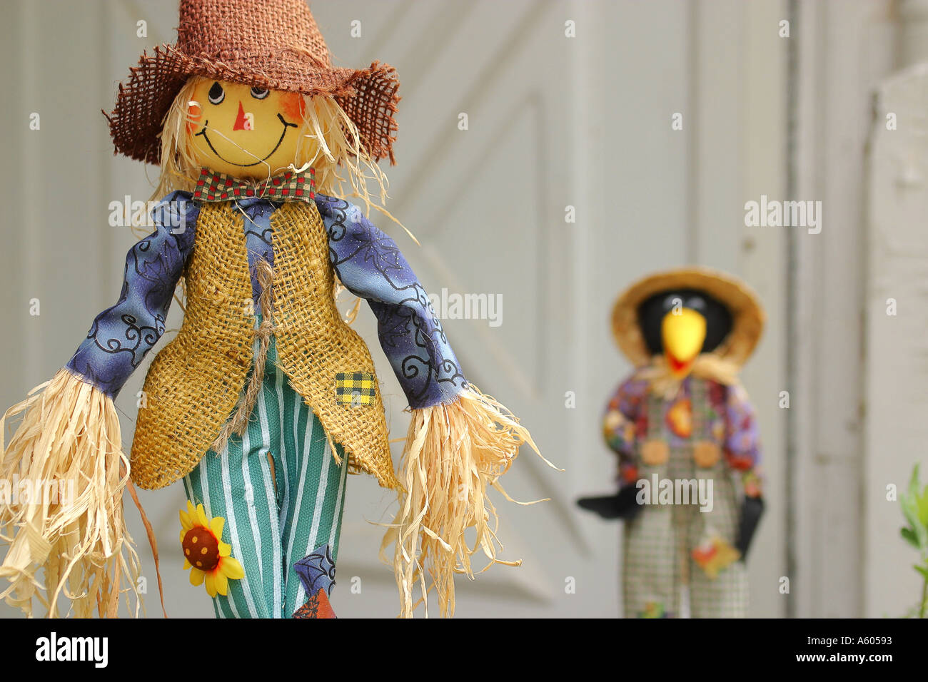 Puppet americana hi-res stock photography and images - Alamy
