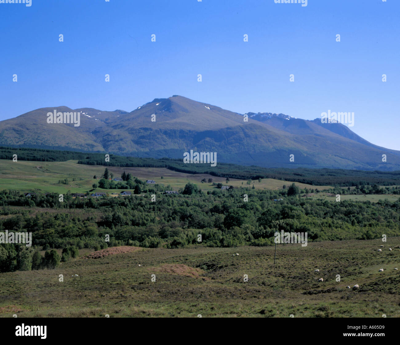 Carn Mor Dearg with Ben Nevis beyond seen from Spean Bridge, north of ...