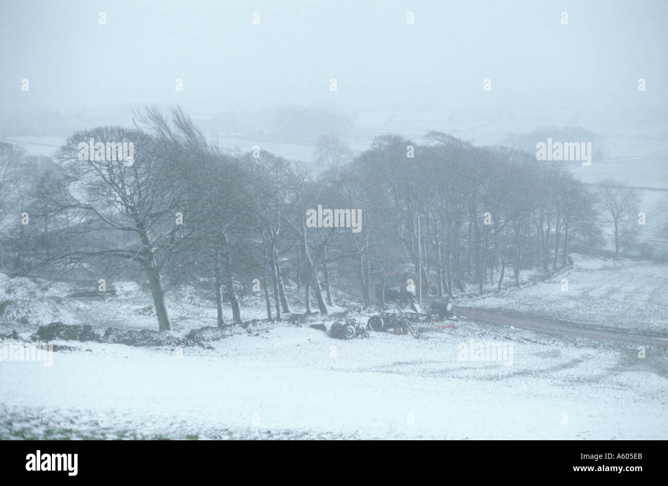 Peak District farm in whiteout Stock Photo - Alamy