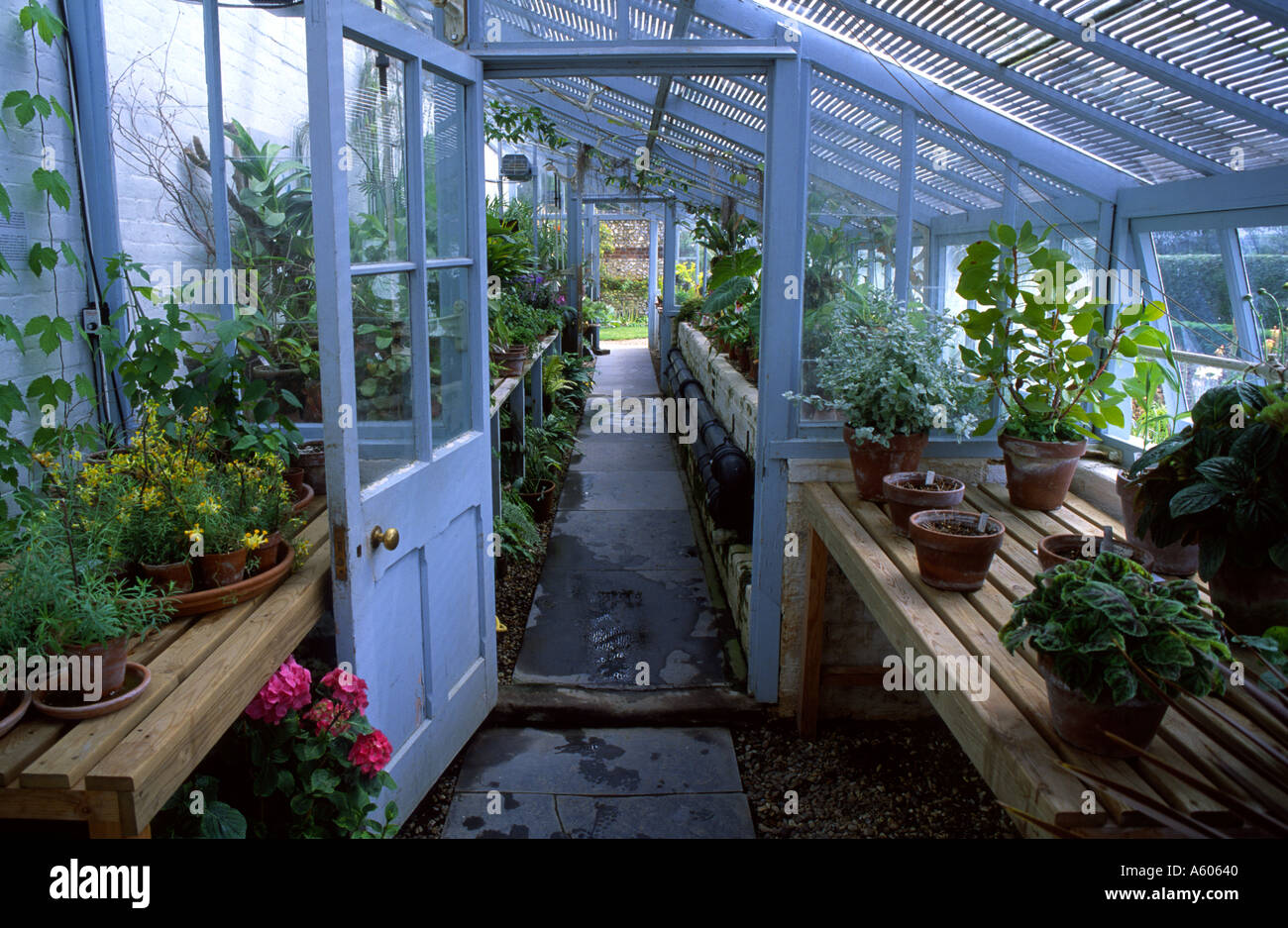 Charles Darwins Greenhouse Down House Downe Kent UK Stock Photo - Alamy