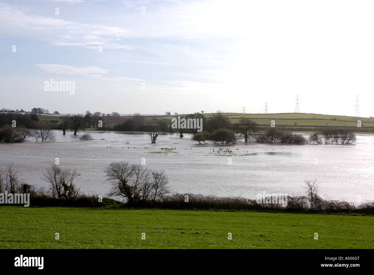 River Exe bursts its banks near Stoke Canon Exeter Stock Photo - Alamy