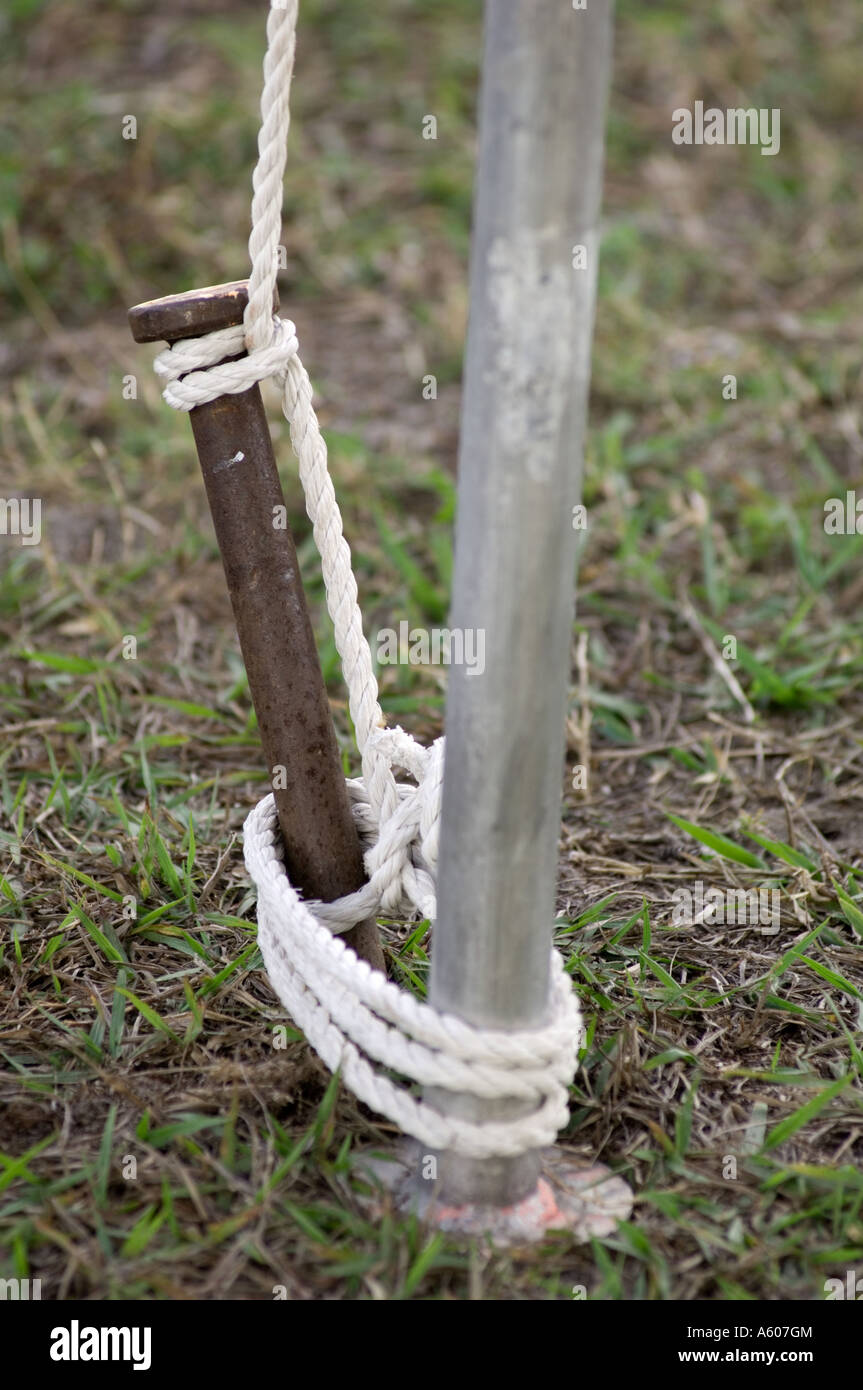 Stake and tie hi-res stock photography and images - Alamy