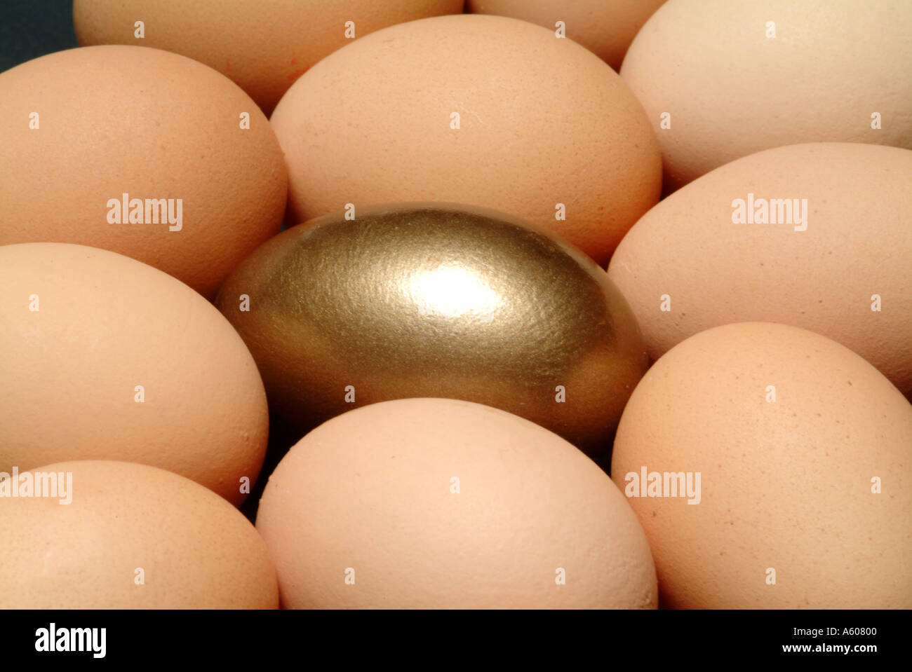 A golden egg Stock Photo - Alamy