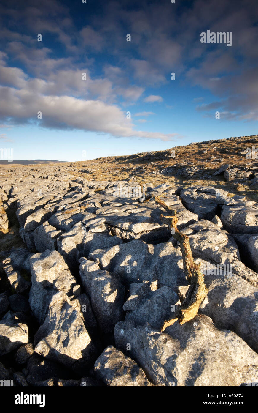 Limestone Pavement At Malham Yorkshire UK Stock Photo - Alamy
