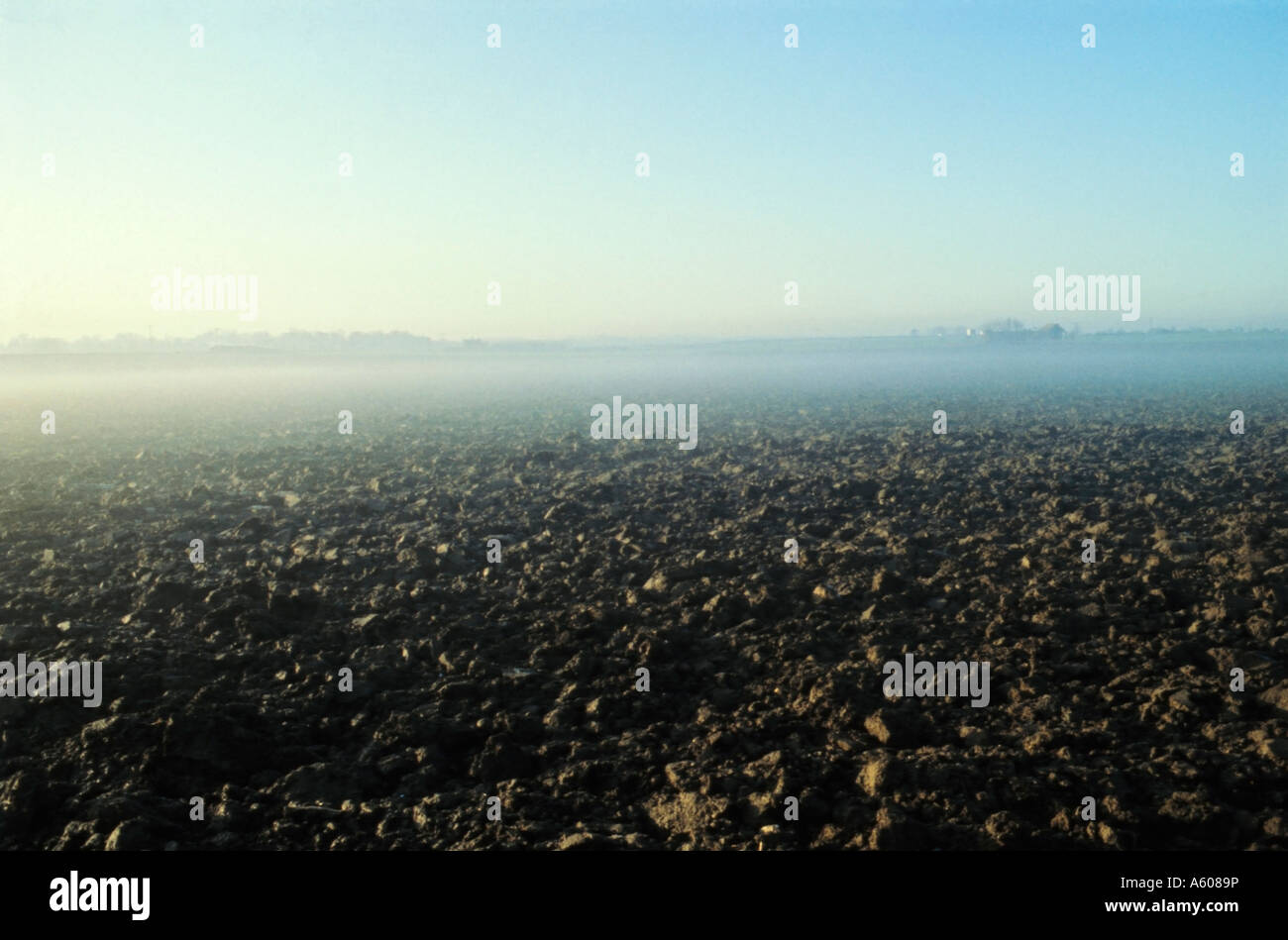 Morning Mist over field Norfolk England Great Britain Stock Photo - Alamy