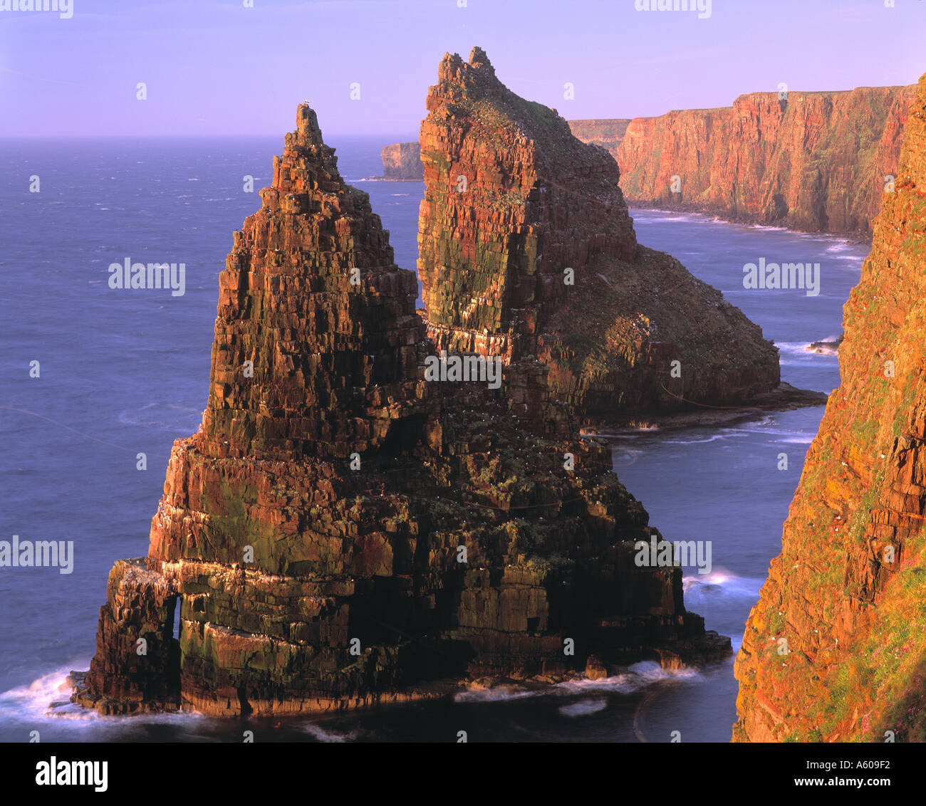 Stacks of Duncansby North Sea Scotland UK Stock Photo - Alamy