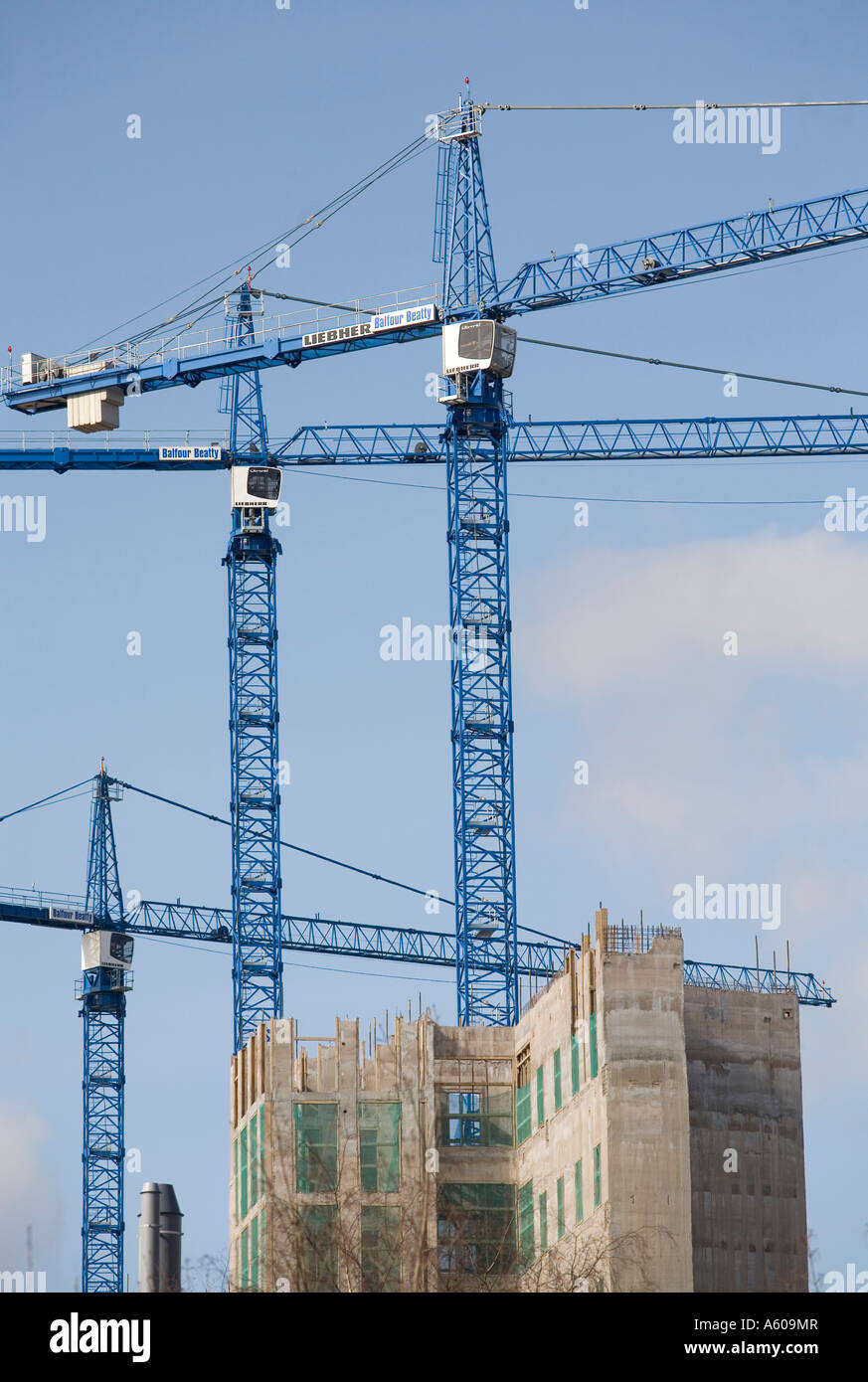 Cranes working on the site of the new University Hospital Birmingham ...